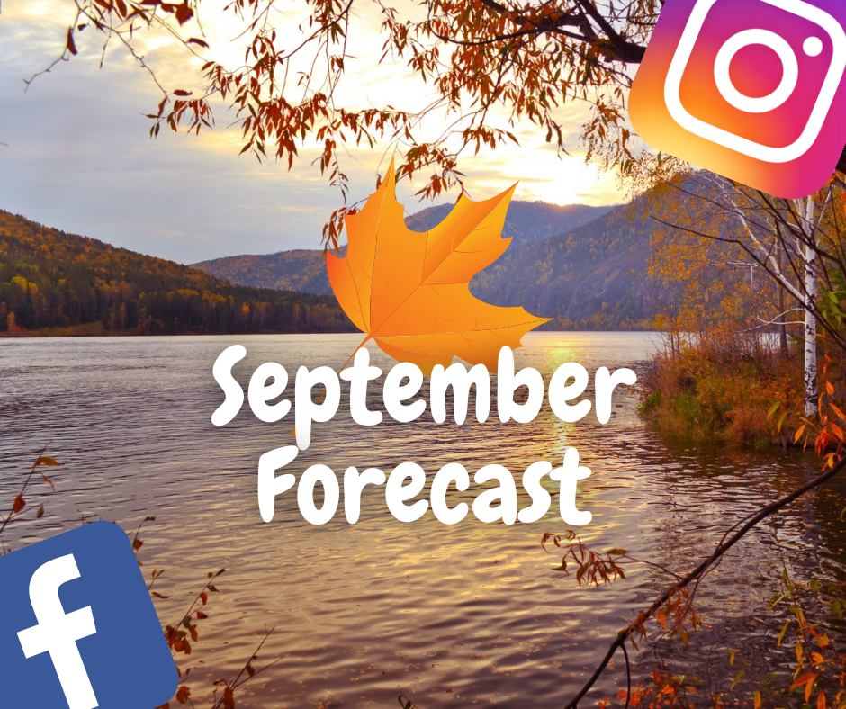 Our September Social Media Forecast - Pick and Mix Marketing